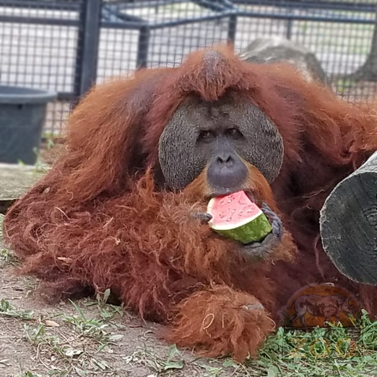 Zoo Planning Spring Break Adventures