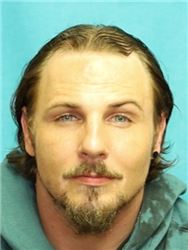 Murphy, Bradford, Brent