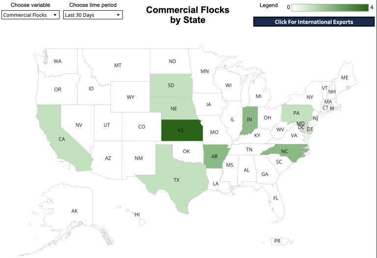Kansas Bird Flu Tops Nation